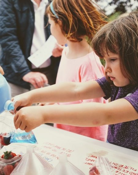 DNA Isolation and Extraction from anything living