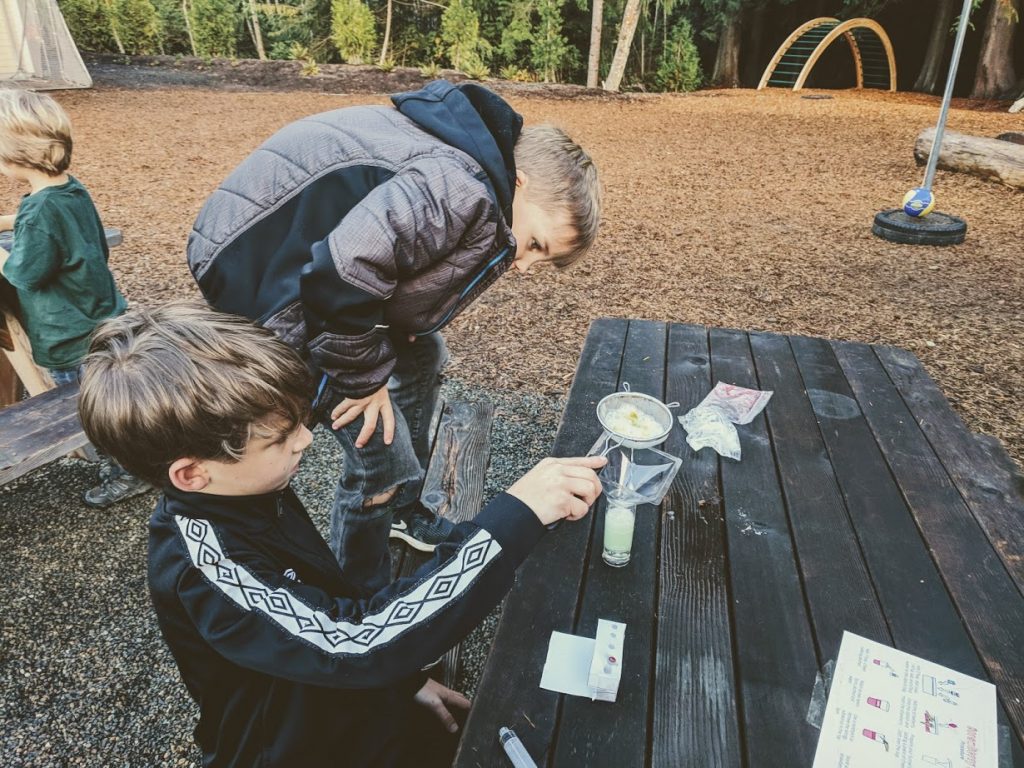 DNA Isolation and Extraction from anything living