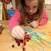 Thanksgiving Engineering: Cranberries and toothpicks - Rosie Research